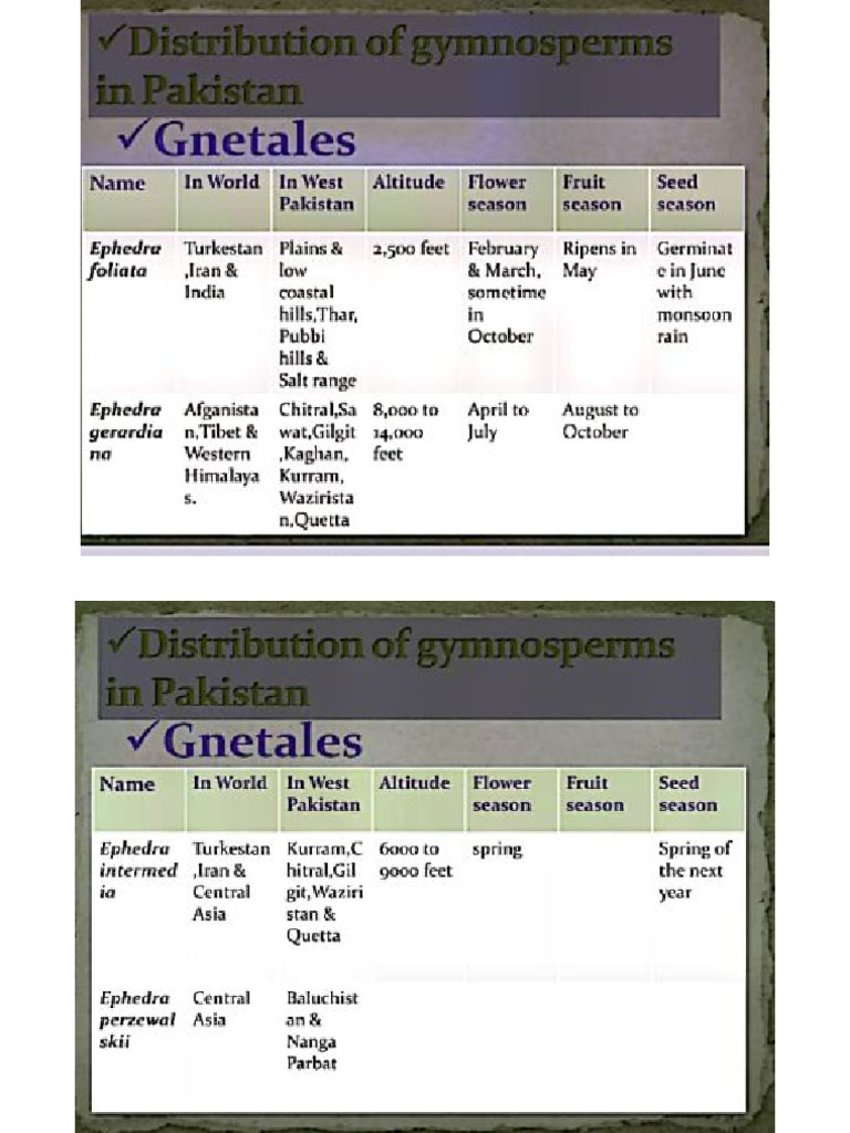 Distribution of Gymnosperms in Pakistan (Geological Time Scale) | PDF