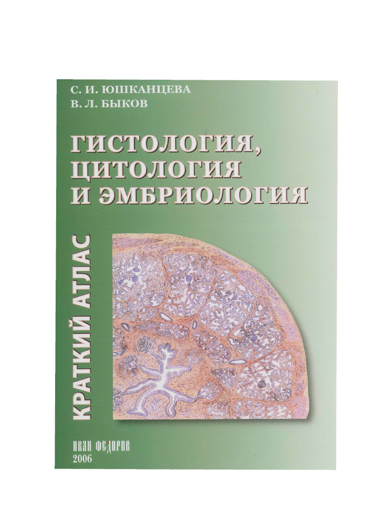 Снимок экрана 2025—10—16 в 20.04.15 | PDF