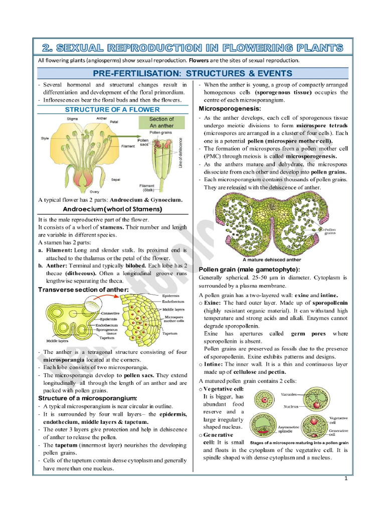 2 Sexual Reproduction in Flowering Plants - Notes - Flipbook by LAKSHYA ...