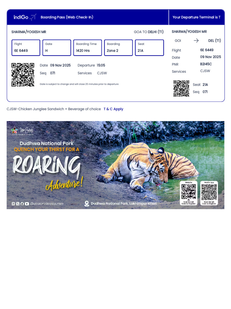 Boarding Pass for Flight 6E 6449 | PDF