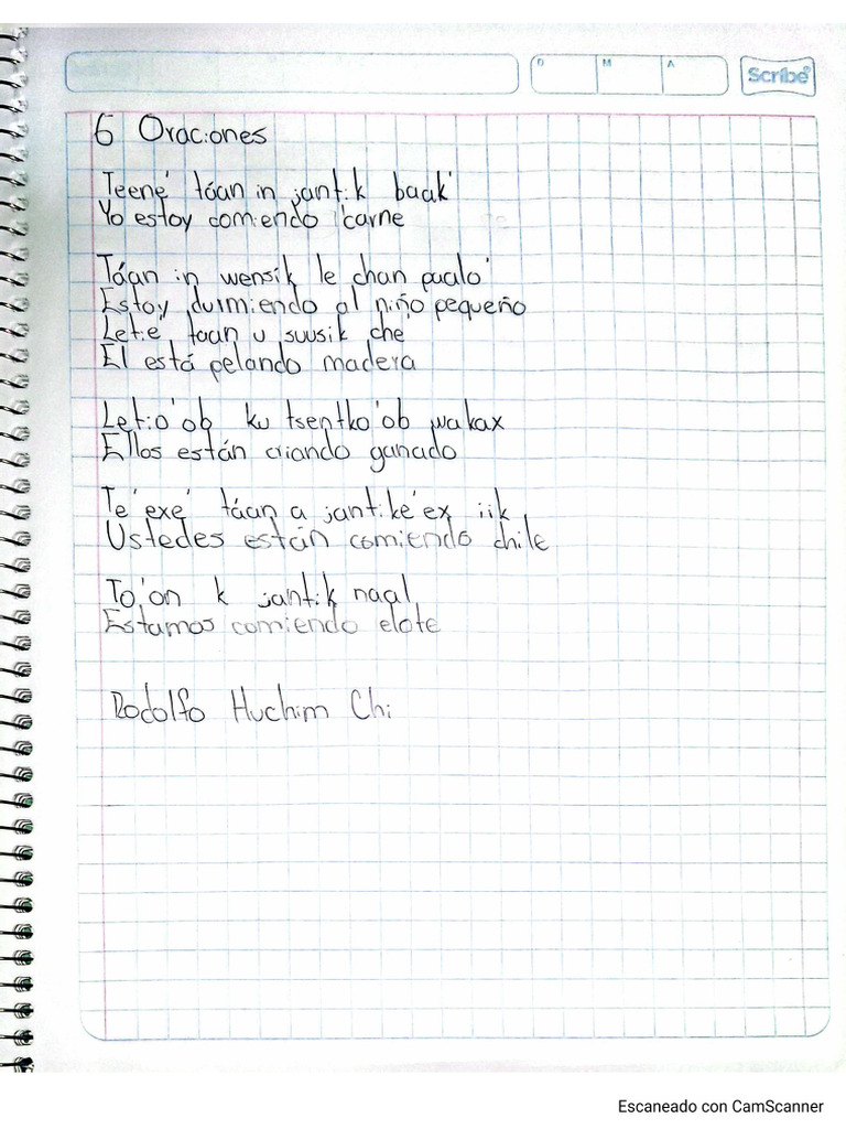 actividades, desarrollo linguistico | PDF