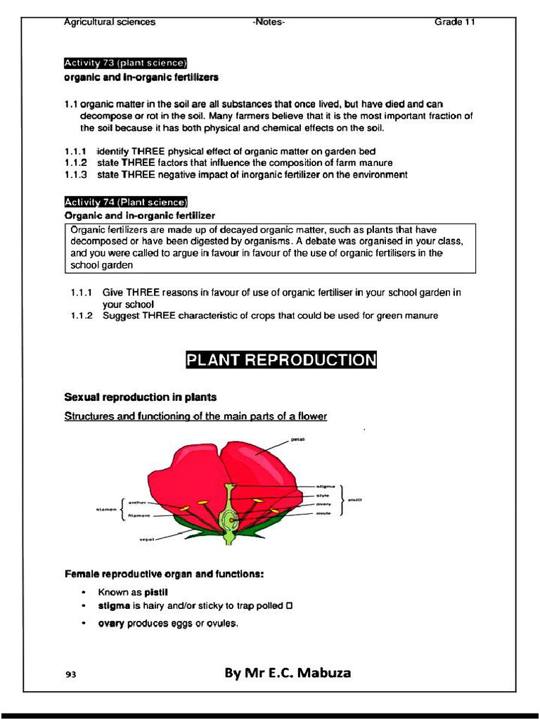 GR 11 Notes Plant Reproduction | PDF