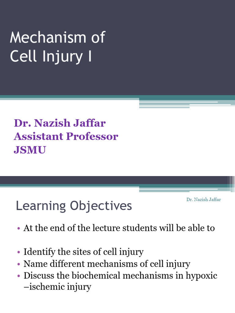 Mechanisms of Cell Injury Explained | PDF | Mitochondrion | Adenosine ...