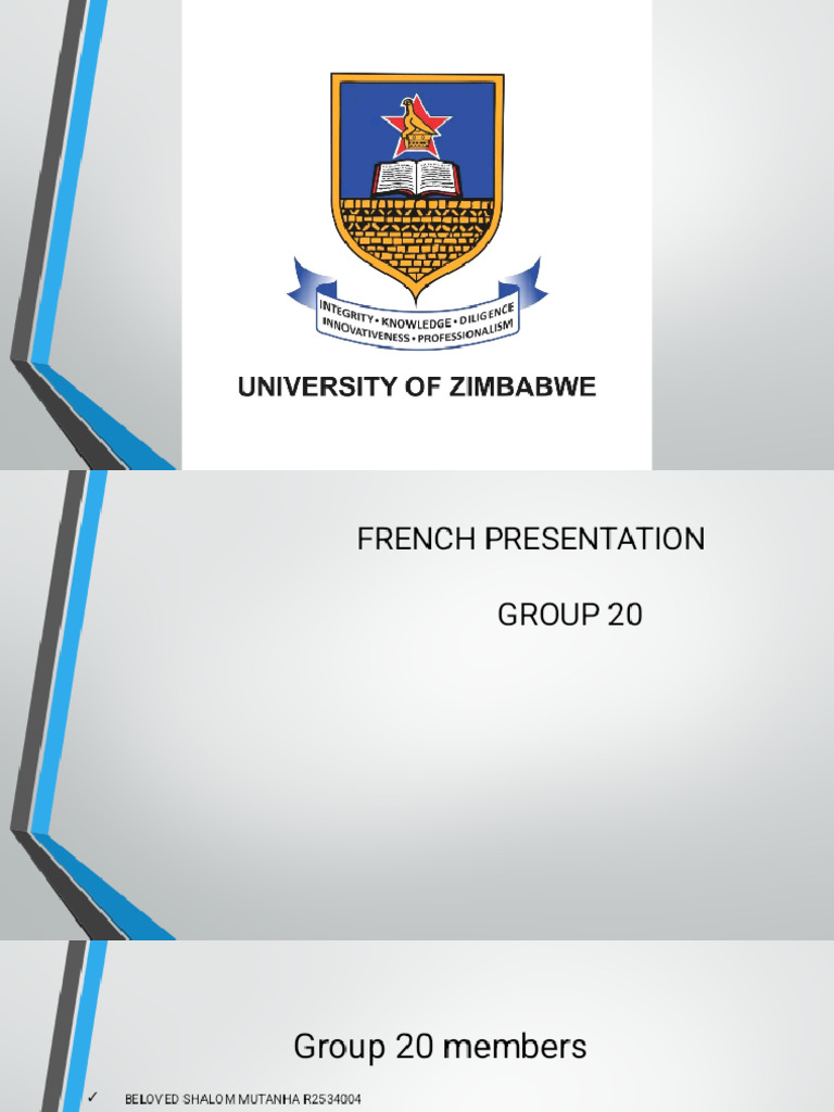 French - Presentation Group 20 - Phoenix | PDF