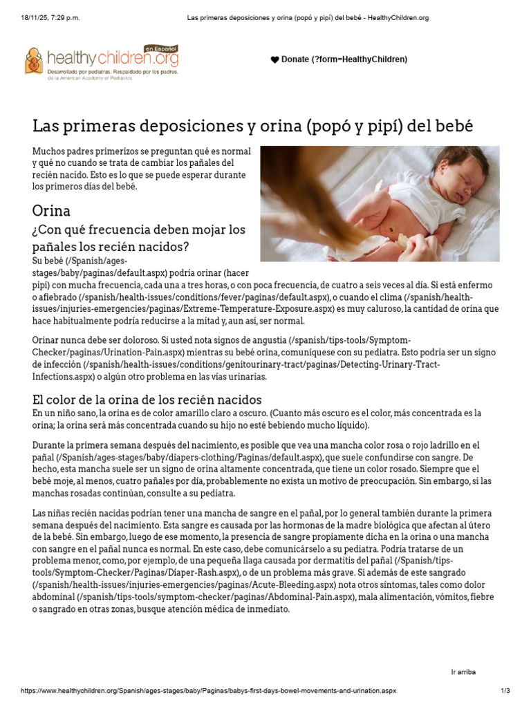 Las Primeras Deposiciones y Orina (Popó y Pipí) Del Bebé | PDF | Heces ...
