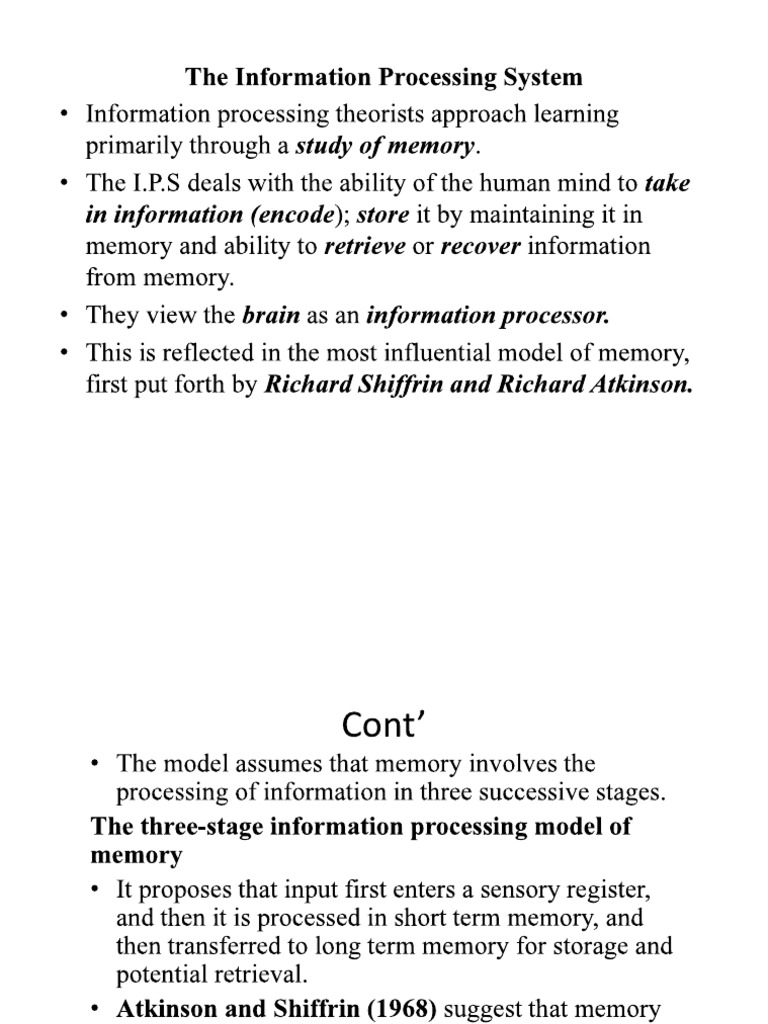 TDP201 Information Processing Lesson Notes 3 | PDF