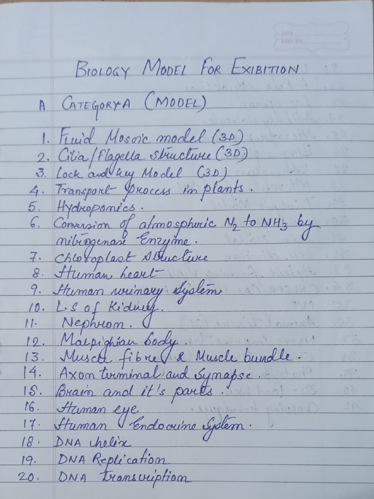 Biology Exhibition Models | PDF