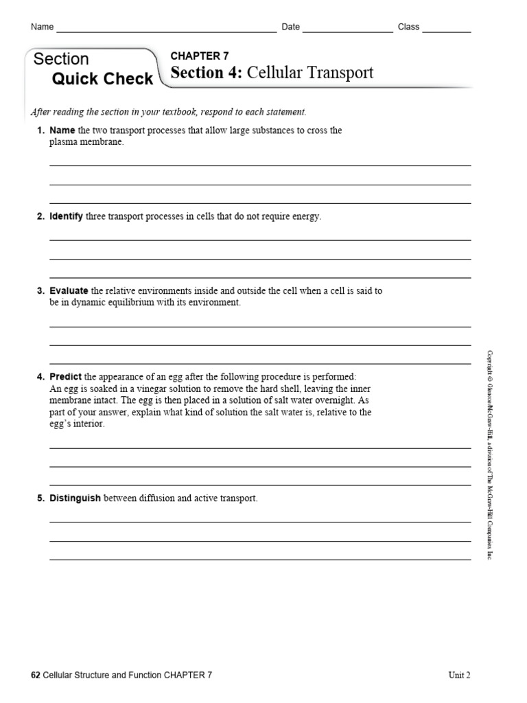 CH 7 Section 4 Cellular Transport Review Questions | PDF
