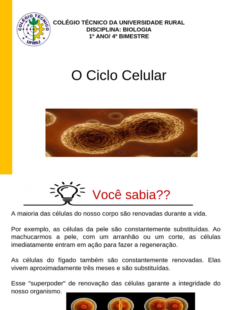13 O Ciclo Celular 2 | PDF | Meiose | Mitose