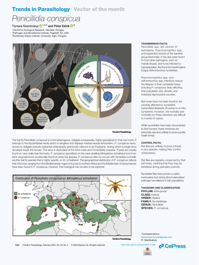 Penicillidia Conspicua 2024 Trends in Parasitology | PDF | Parasitism | Bat