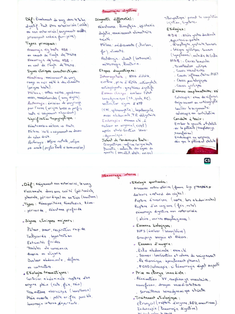 S. Semio | PDF