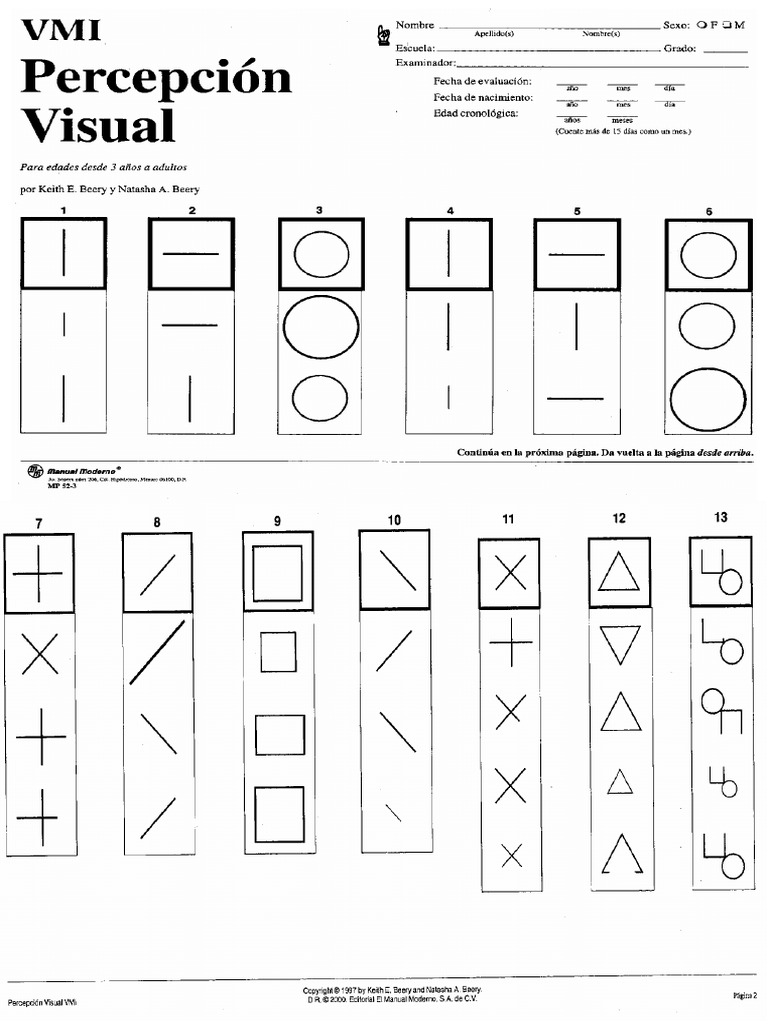VMI Completo.docx | PDF