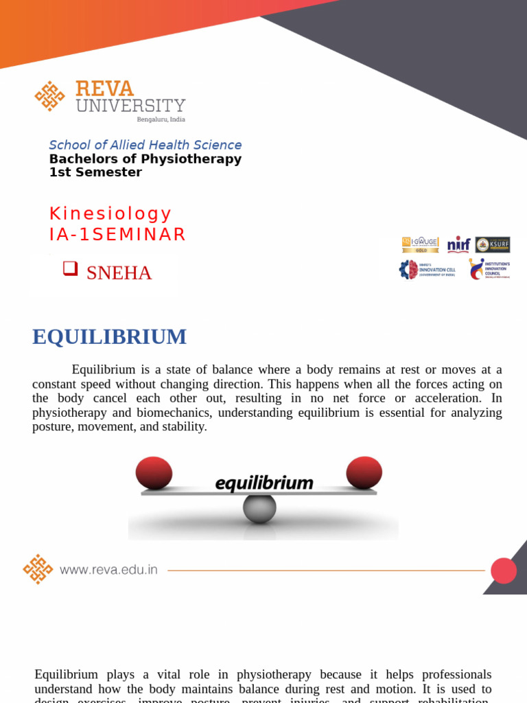 Understanding Equilibrium in Physiotherapy | PDF | Balance (Ability ...