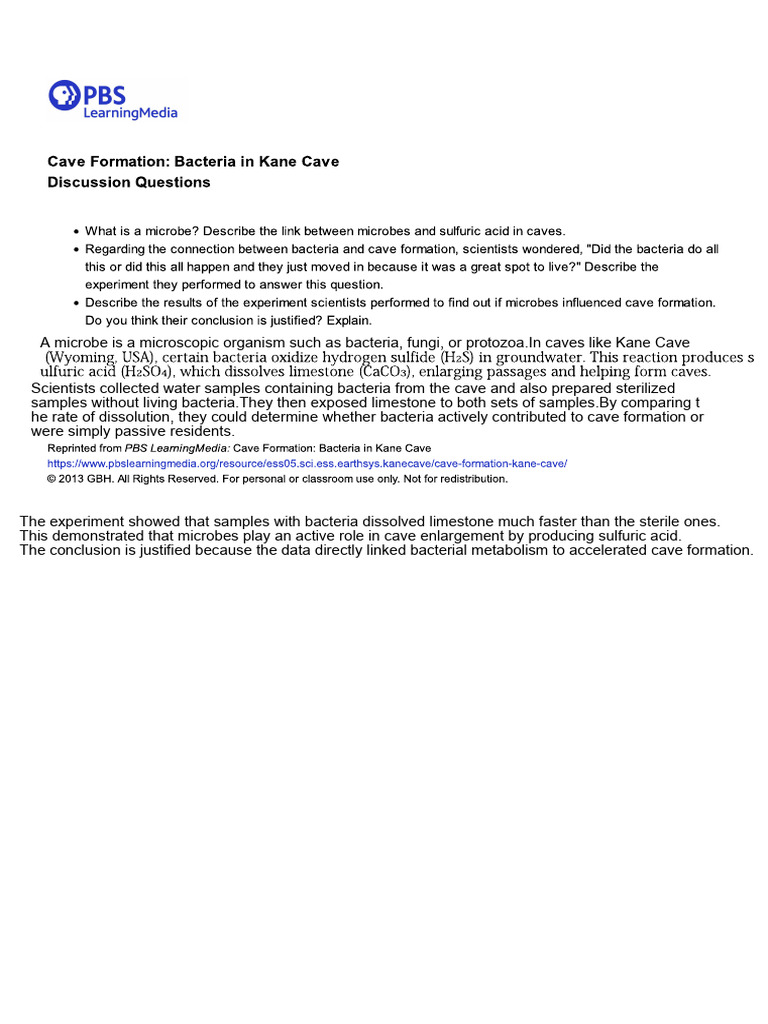 HTEW Caves Lab Questions - Matheus Sanches | PDF