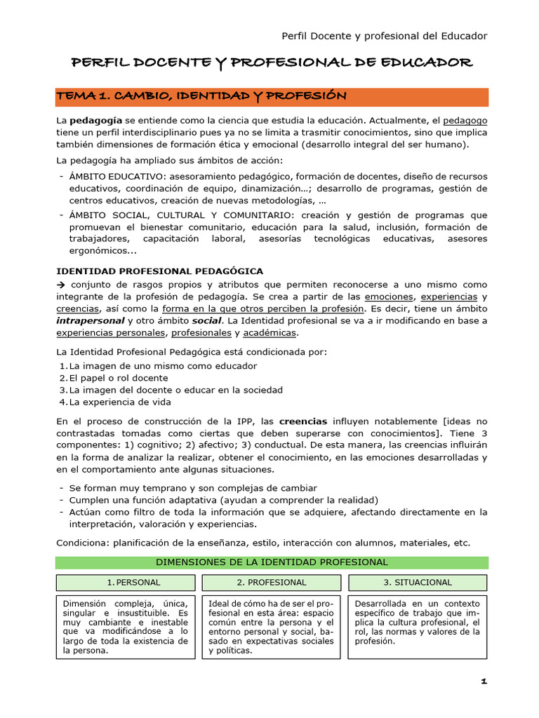 Perfil Docente | PDF | Pedagogía | Maestros