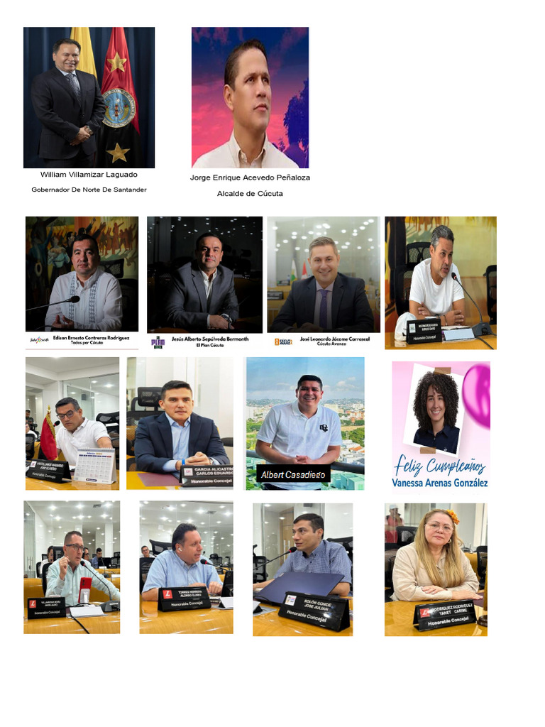 Tarea Gob,Alc,Cons,Senad,Repre | PDF