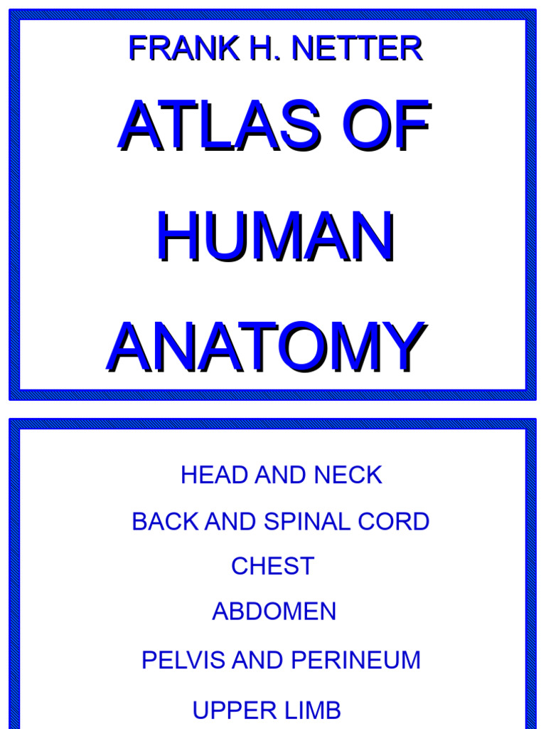 Atlas of Human Anatomy (Frank H. Netter) | PDF | Abdomen | Pelvis
