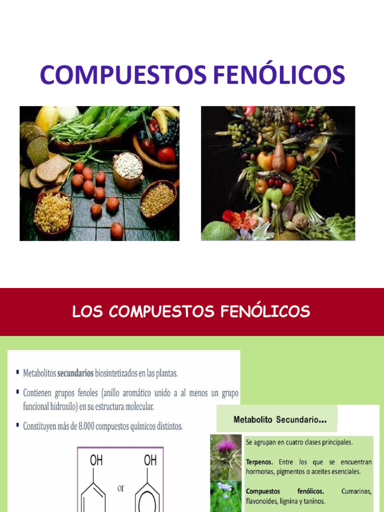 Acido Fenolicos | PDF | Contenido fenólico en vino | Flavonoide