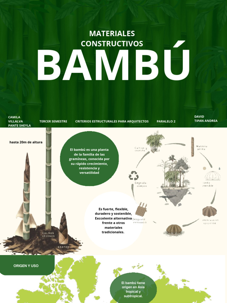 Ventajas y Usos del Bambú en Construcción | PDF | Hormigón | Acero
