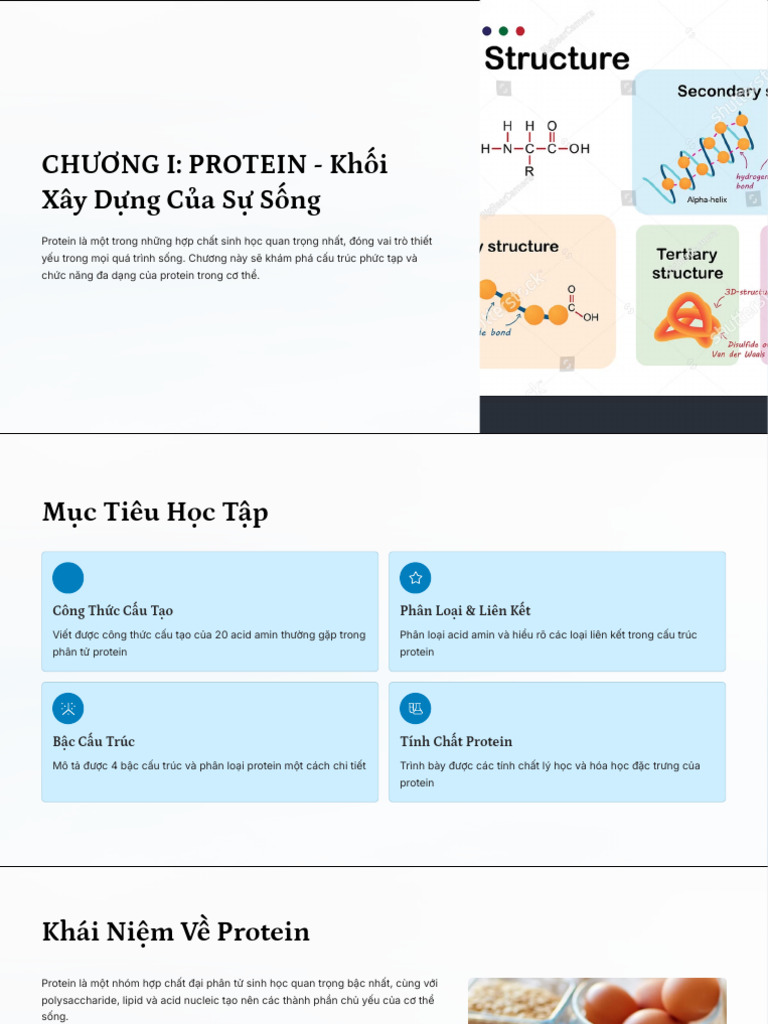 Chuong I Protein Khoi Xay Dung Cua Su Song | PDF