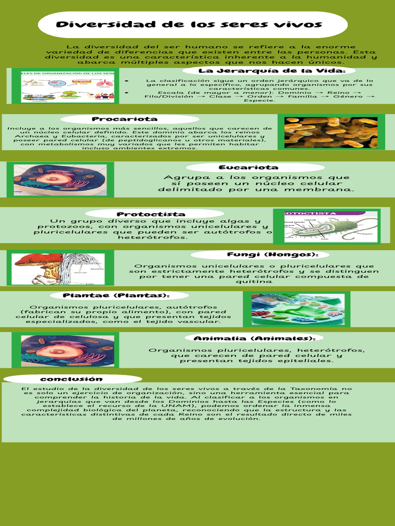 Diversidad de Los Seres Vivos | PDF | Organismos | Biología Celular)