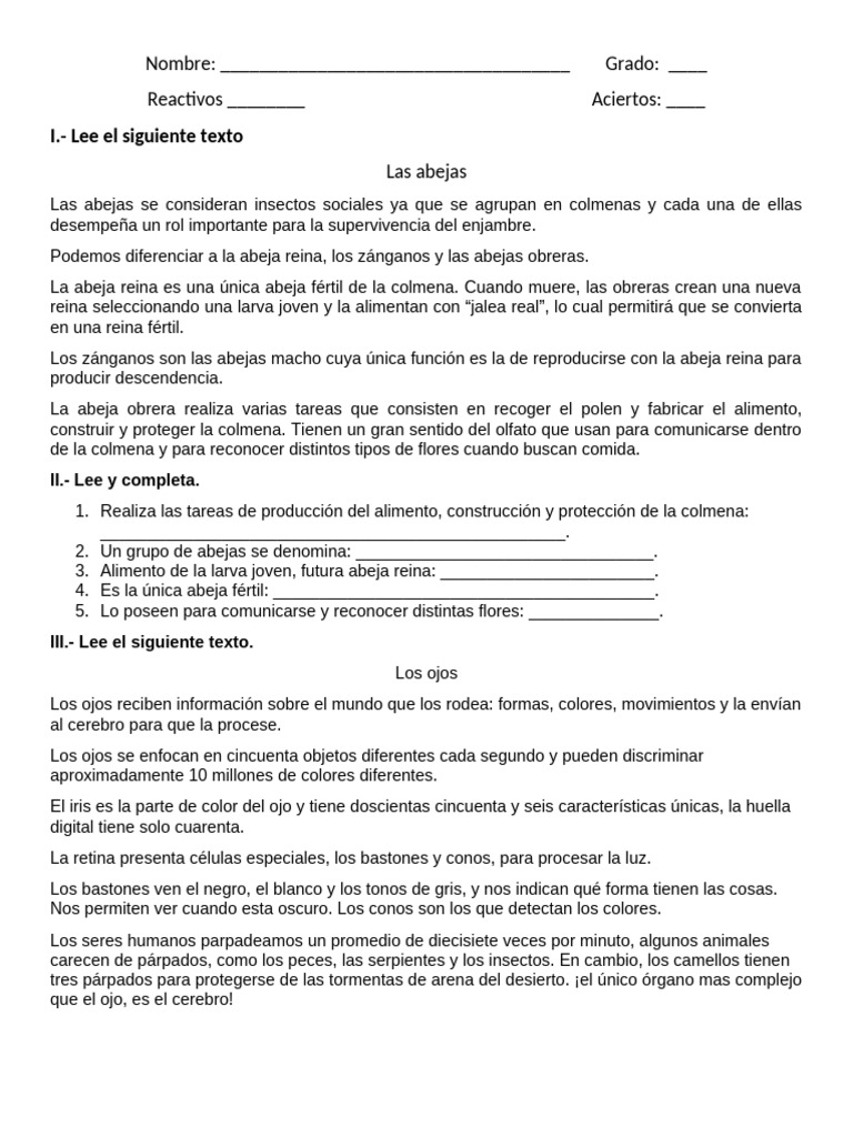 Las Abejas Examen de Comprension Lectora | PDF | Abejas | Ojo