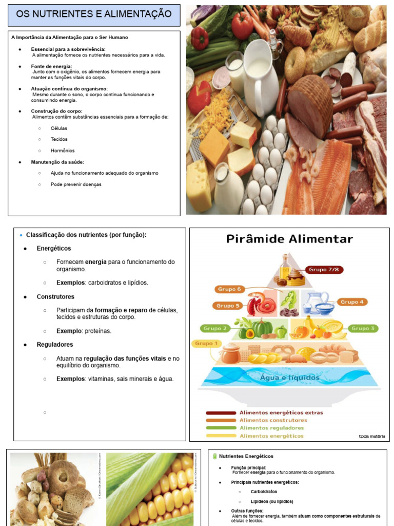 Nutrientes e Alimentação: Funções Essenciais | PDF | Corpo humano | Lipídio