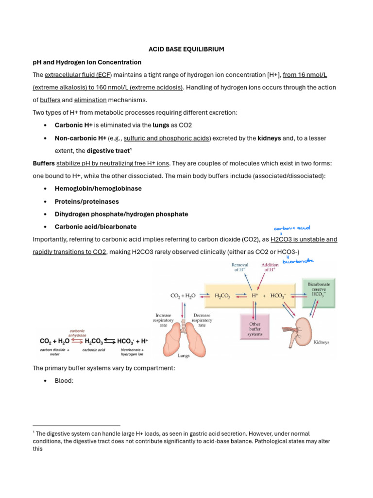 Icu (2022) - Acid Base Balance and Pulmonary PDF | PDF | Physiology