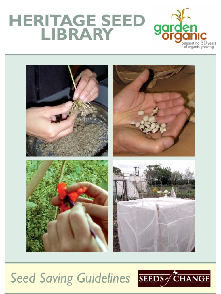 Seed Saving Guidelines Complete | PDF | Pollination | Plant Breeding