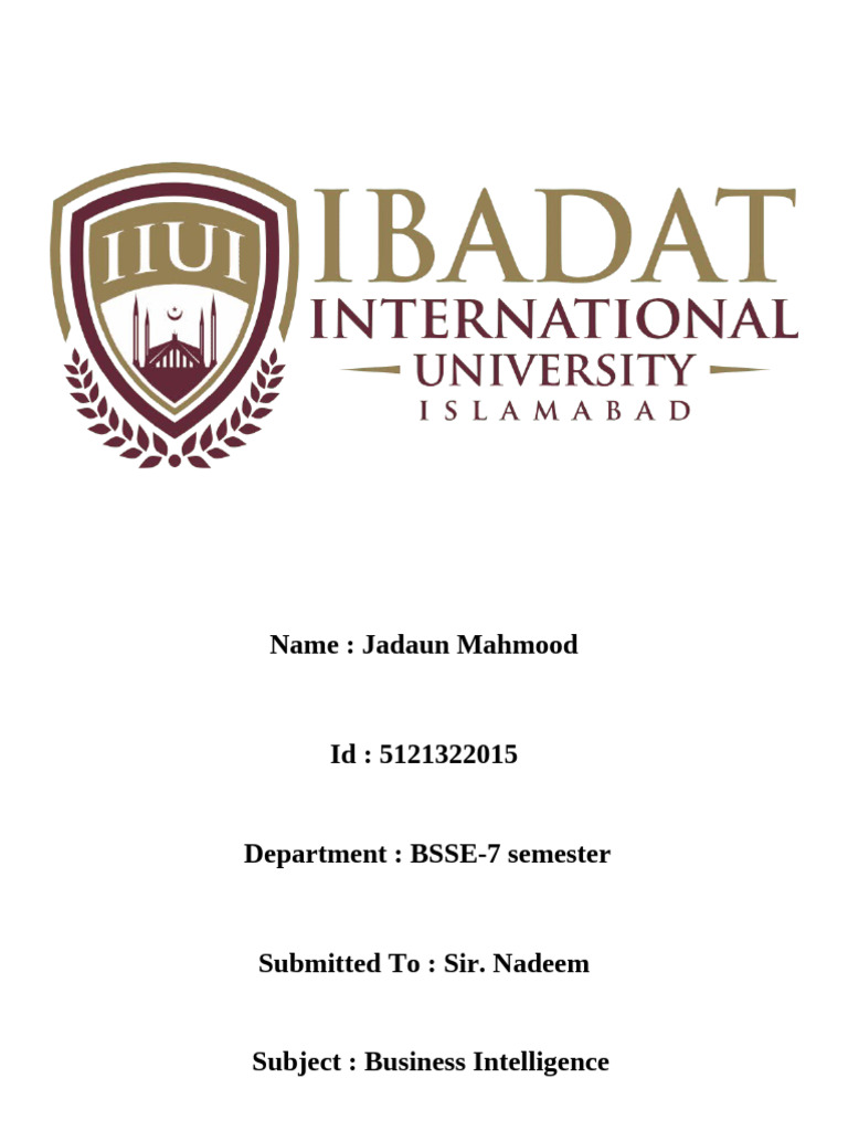 Jadaun Assignment One BI | PDF | Analytics | Business Intelligence