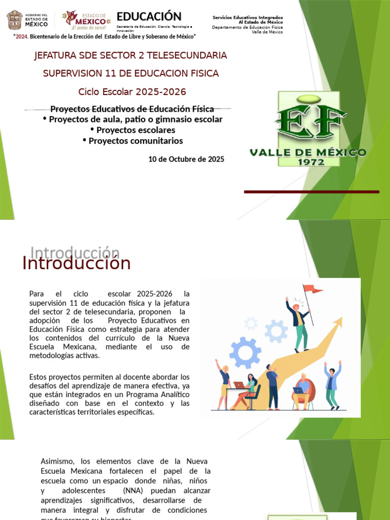 Proyectos Educativos de Educación Física 2025-2026 | PDF | Plan de ...