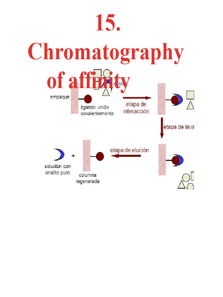 15I. Affinity Chromatography | PDF | Chromatography | Polyacrylamide ...