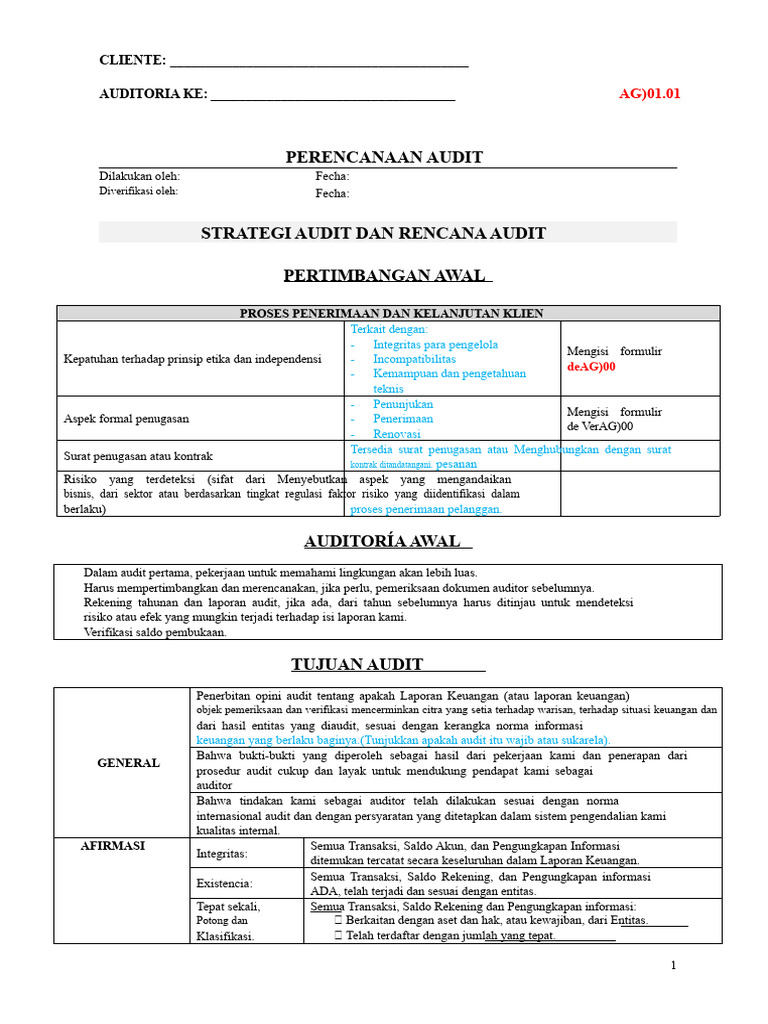 Rencana dan Strategi Audit Keuangan | PDF