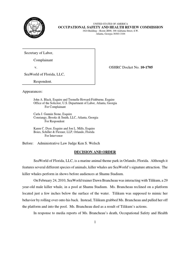 Judges Verdict | PDF