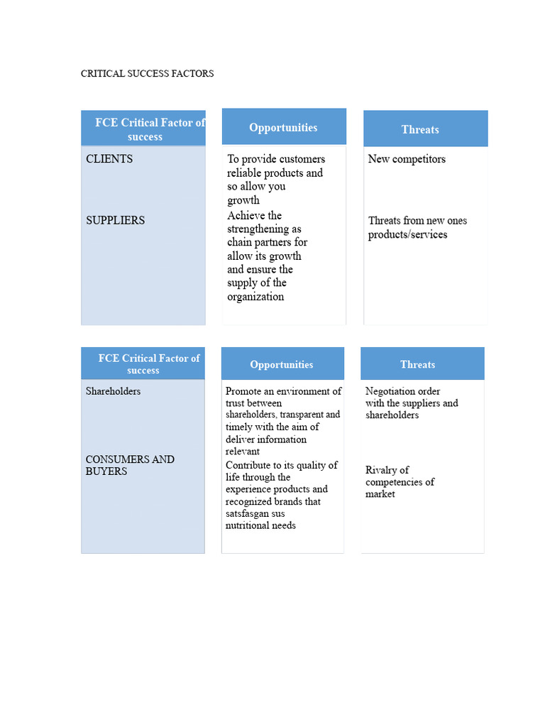 Critical Success Factors | PDF | Supply Chain | Product (Business)