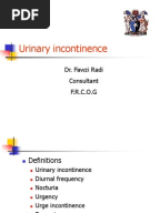 Modified Barthel Index (Shah Ver.) | Urinary Incontinence | Wheelchair
