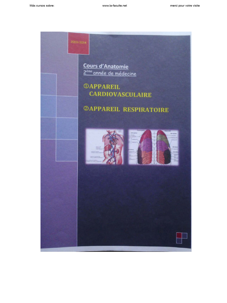 2. Aparato Respiratorio (3) (Dr. HAMMOUDI) | PDF | Laringe | Anatomía humana