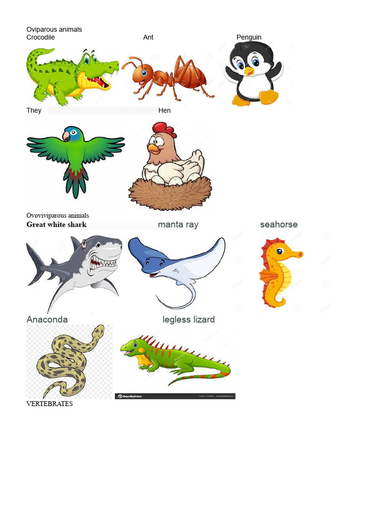 Oviparous Animals | PDF
