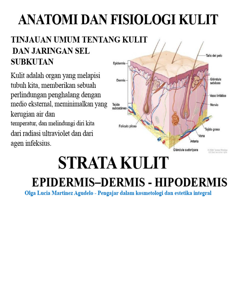 Struktur dan Tipe Kulit Manusia | PDF