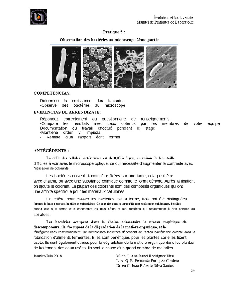 Observation des bactéries au microscope | PDF | Bactérie | Biologie