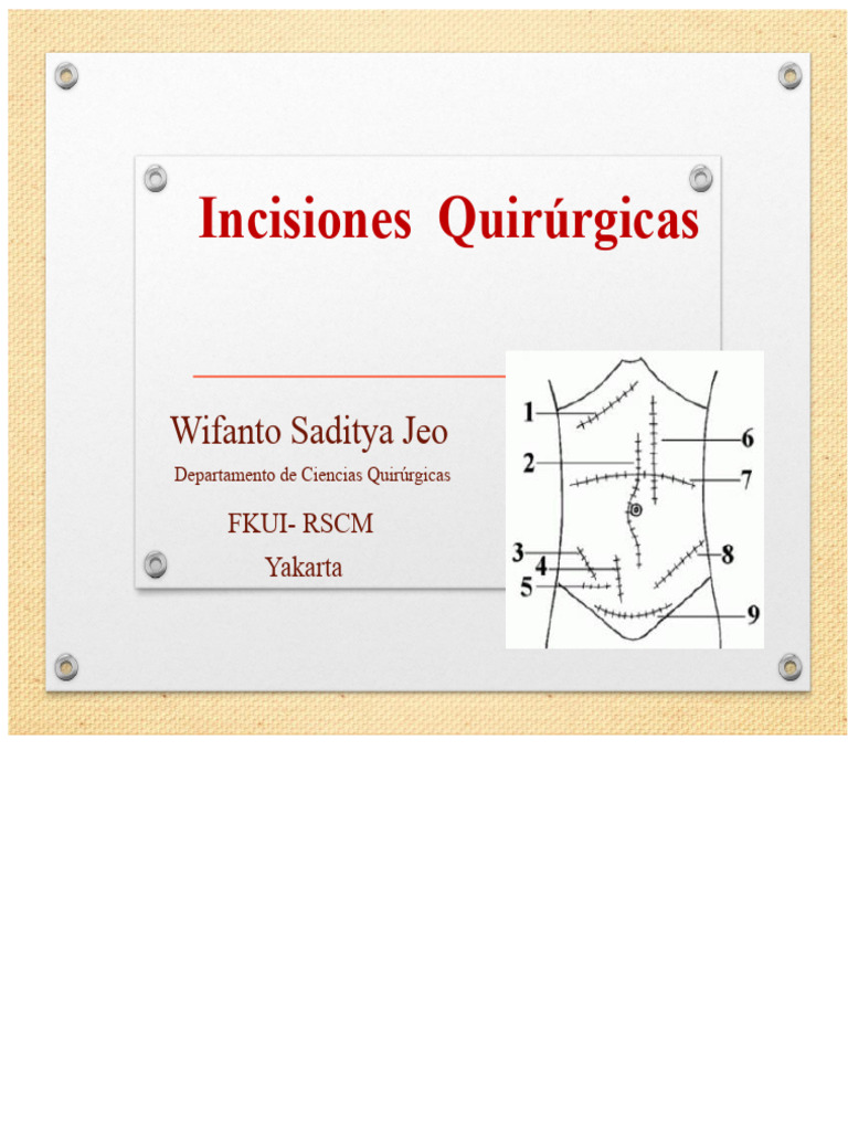 Incisiones Quirúrgicas | PDF | Abdomen | Herida