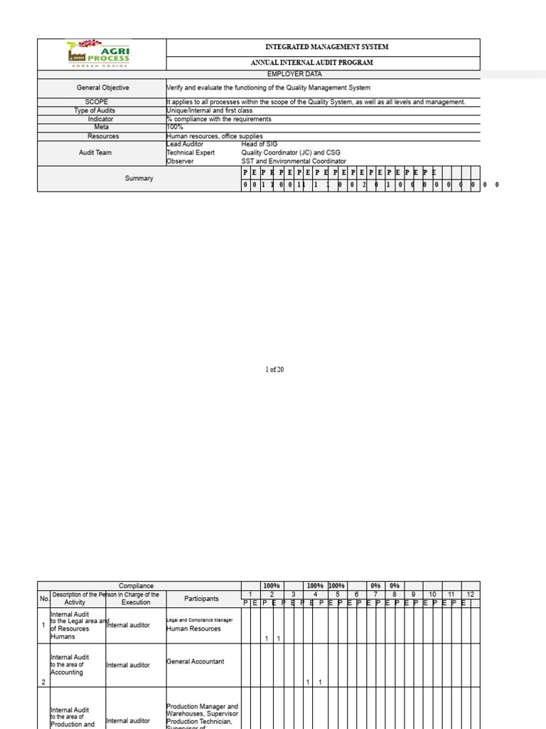 Annual Internal Audit Program | PDF | Internal Audit | Audit