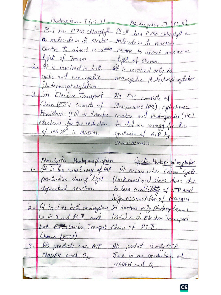 PS-I & PS-II and Cyclic and Non-Cyclic Photophosphorylation 19-11-2025 ...