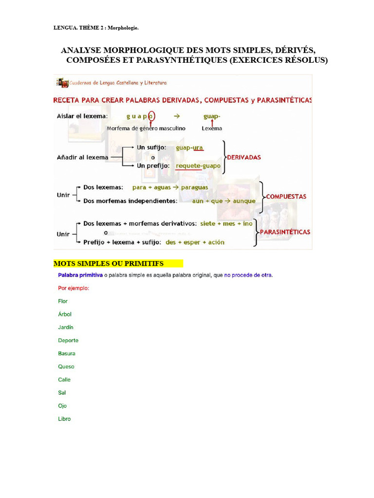 Analyse morphologique des mots en espagnol | PDF | Genre grammatical ...