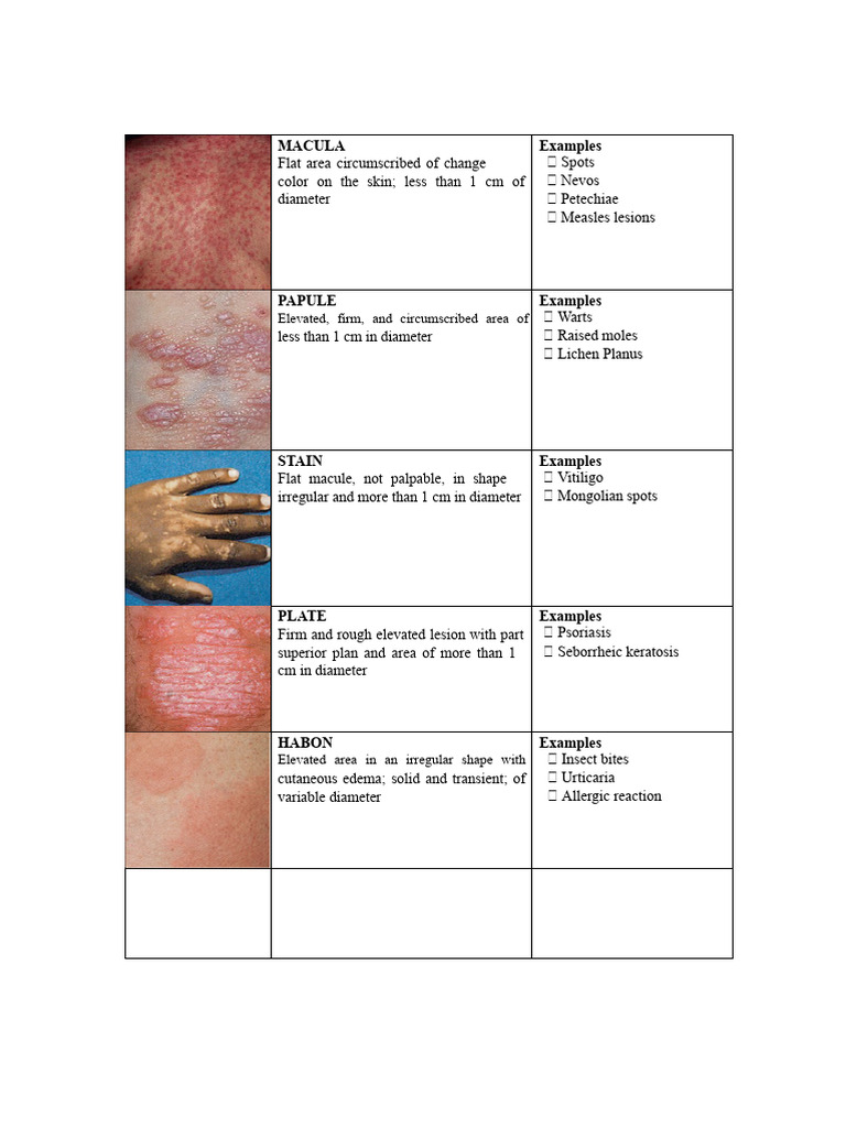 Types of Dermatological Injuries 2020 | PDF | Dermatitis | Epidermis