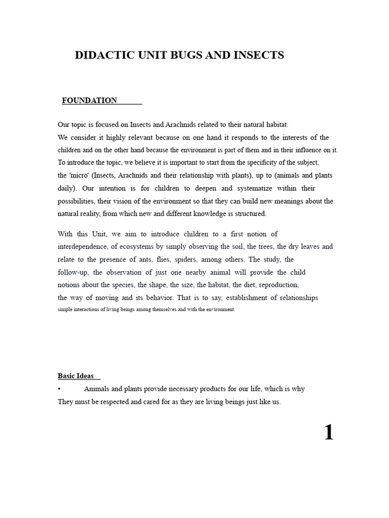Didactic Unit Bugs and Insects | PDF | Insects | Knowledge
