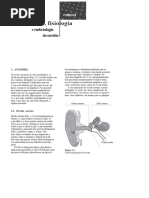 HINTS para Diagnóstico de Vertigem | PDF | Vertigem | Sistema vestibular