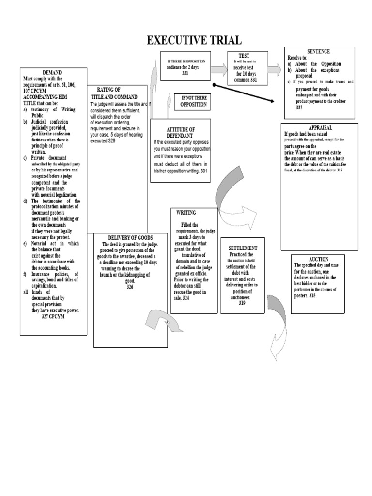 Conceptual Map Executive Judgment | PDF | Judgment (Law) | Auction
