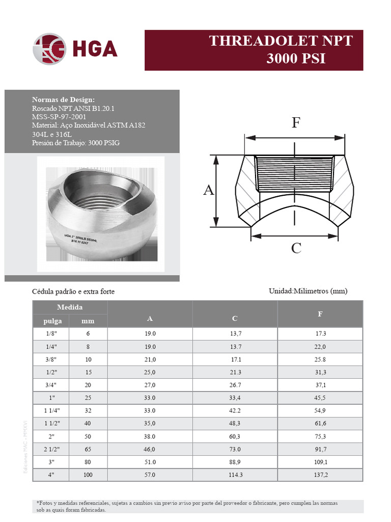Threadolet 304 | PDF
