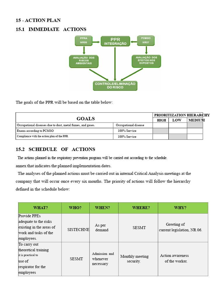 Action Plan PPR Sistechne - Check | PDF | Personal Protective Equipment ...